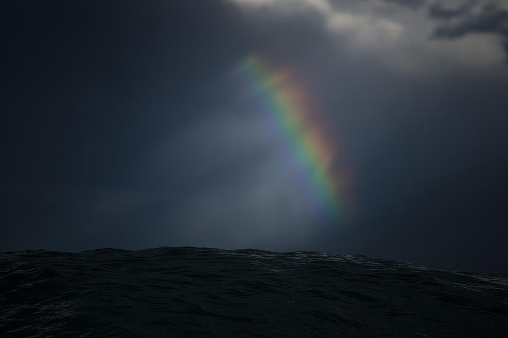 Hope – Ray Collins Photo