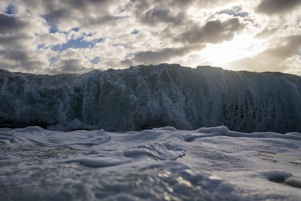 Impede – Ray Collins Photo