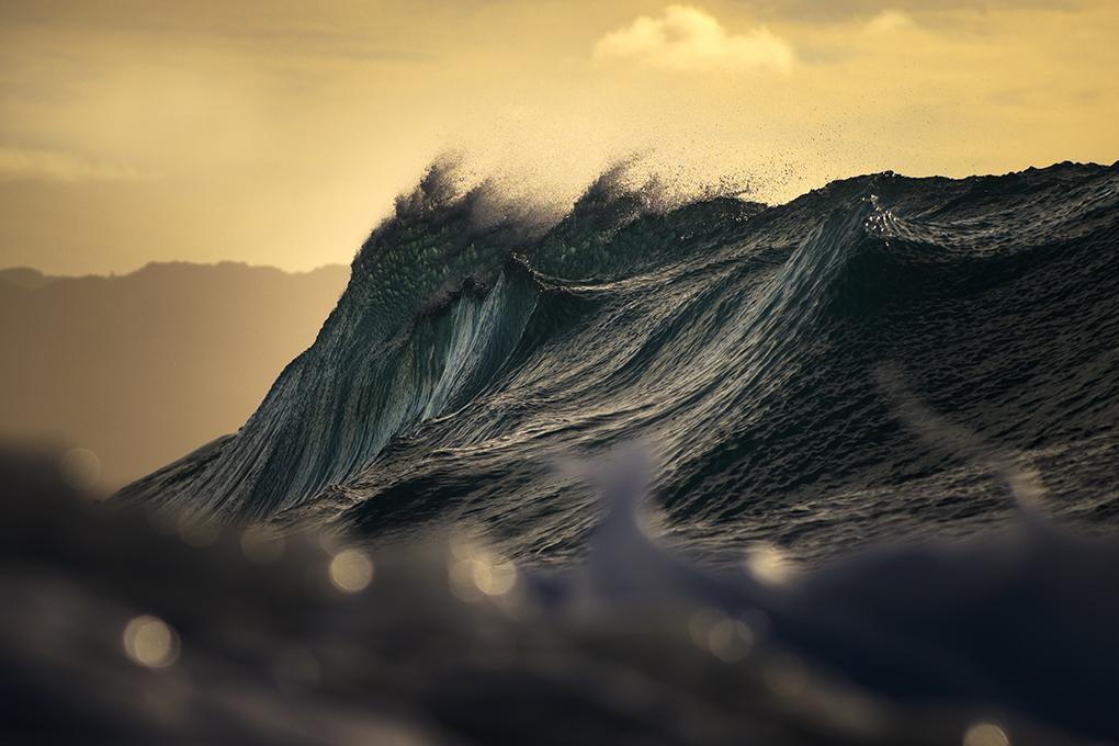 Sea Curves – Ray Collins Photo